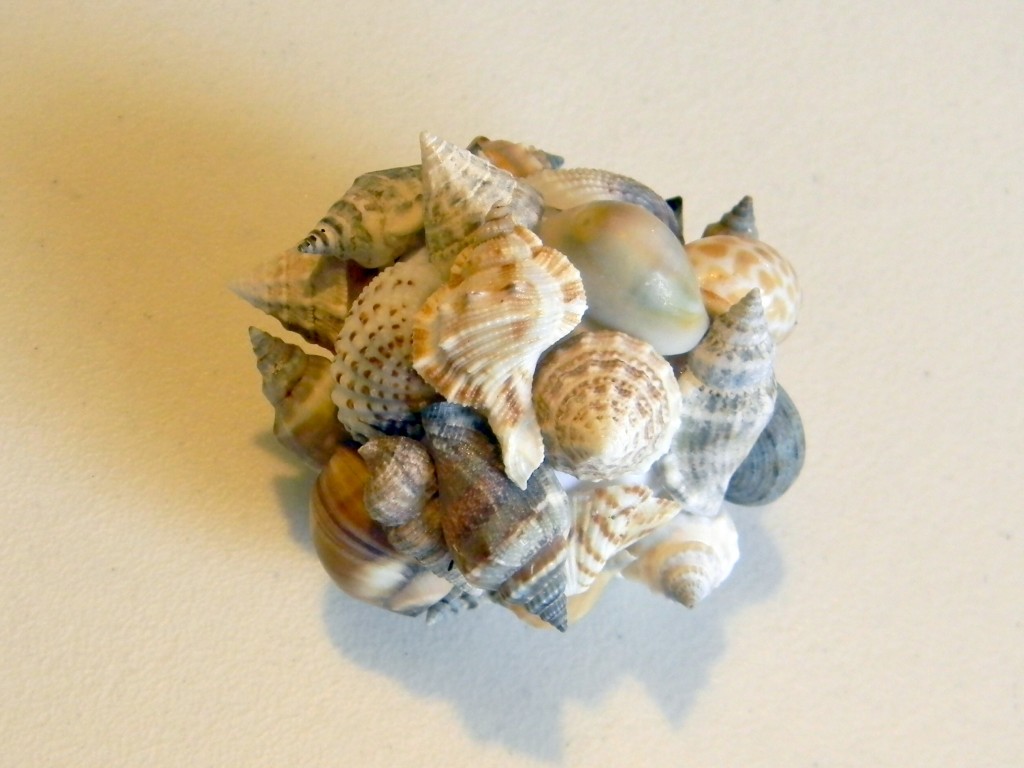 Shell Ball - Organize and Decorate Everything