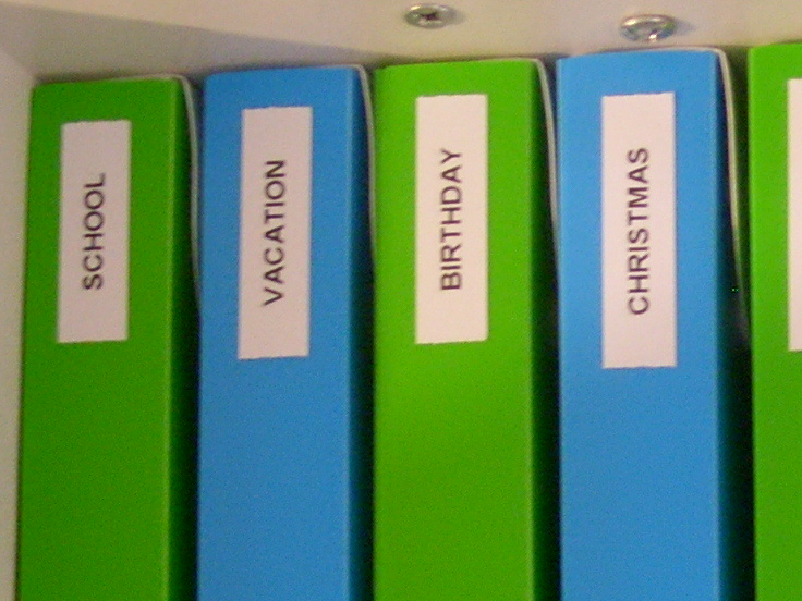 31 Days of Getting Organized (Using What You Have) - Day 24: Organize ...