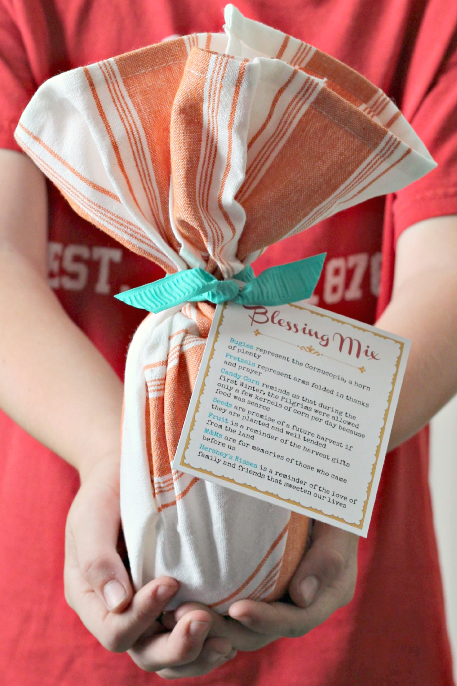 Thanksgiving Blessing Mix - Organize and Decorate Everything