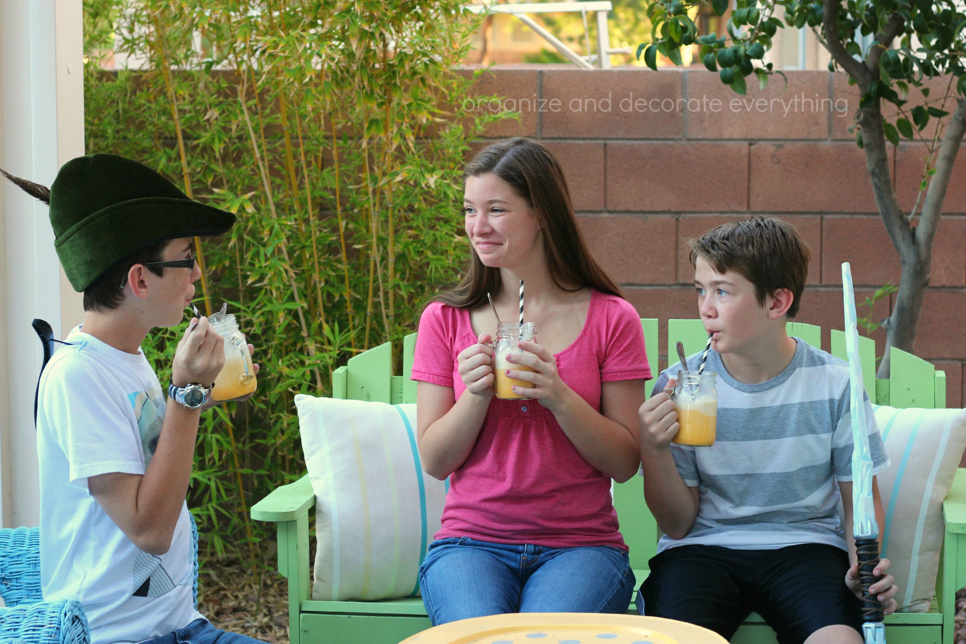 TruMoo Orange Scream 2 - Organize and Decorate Everything