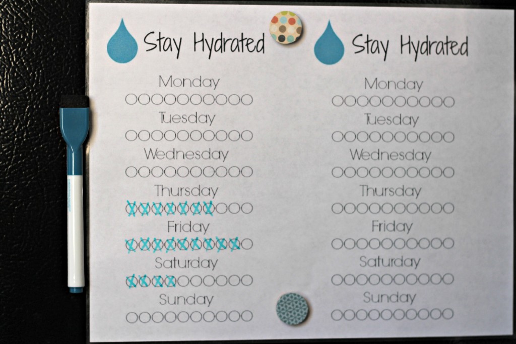 Brita Water Bottles hydration chart - Organize and Decorate Everything