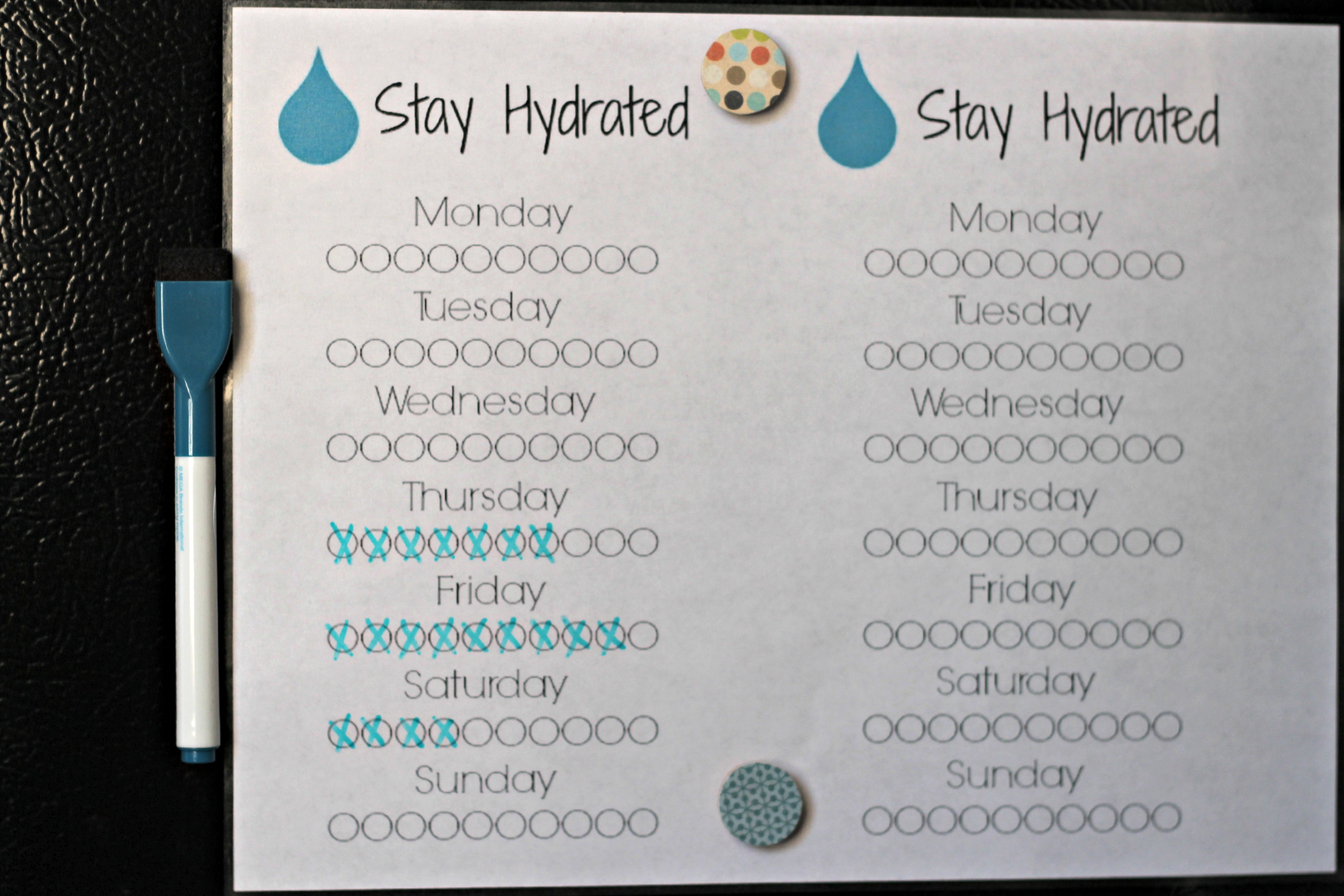 Brita Water Bottles hydration chart - Organize and Decorate Everything