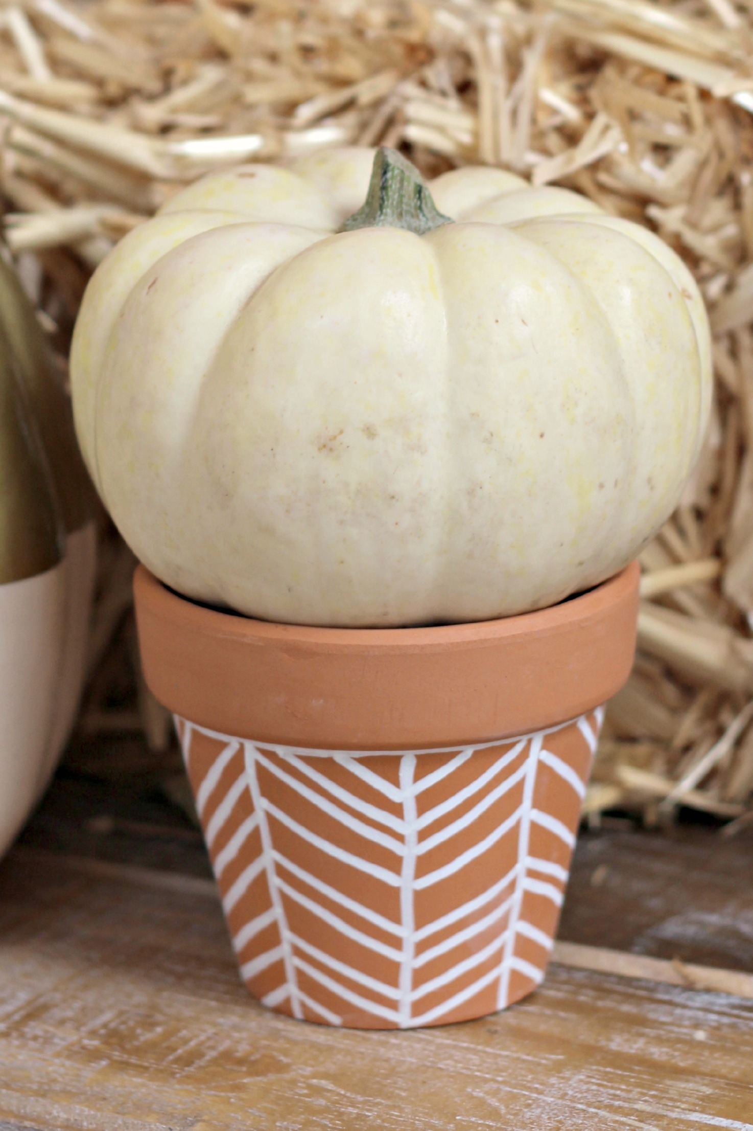 Decorative Clay Pots - Organize and Decorate Everything