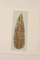Easy Framed Feather - Organize and Decorate Everything